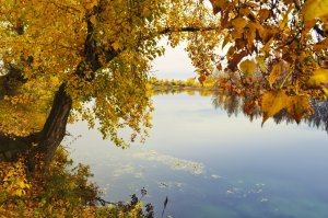 Ловля рыбы Кубань ОБРЫВЫ. Веселая вечерняя рыбалка Краснодар