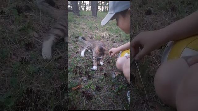 Охотница