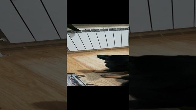Продолжаем знакомство.