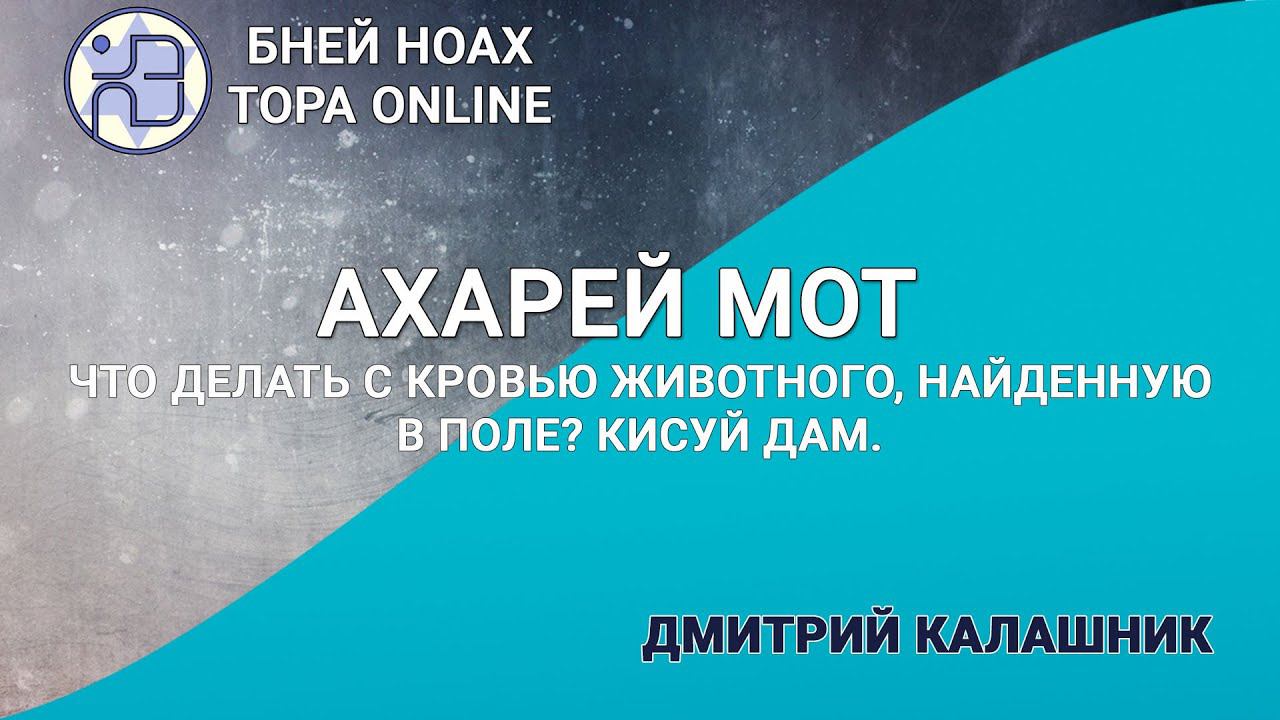 Что делать с кровью животного, найденную в поле? Кисуй Дам. Недельная глава Ахарей Мот