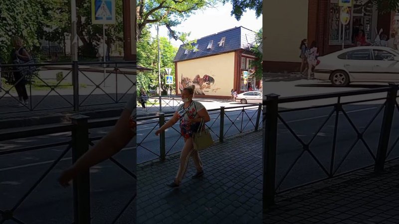 кот на стене в Зеленоградске