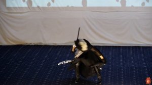 Käärijä - Cha Cha Cha _ Cruella de Vil cosplay Круэлла де Виль косплей @kaarijaofficial (1)