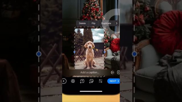 ФИШКИ ТЕЛЕГРАММА|Вырезы из фотографий в сторис|#shorts #telegram