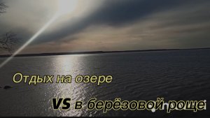 Отдых на озере vs в берёзовой роще