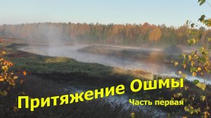 Притяжение Ошмы. Часть первая