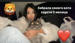 Забрала своего кота спустя 3 месяца ❤️