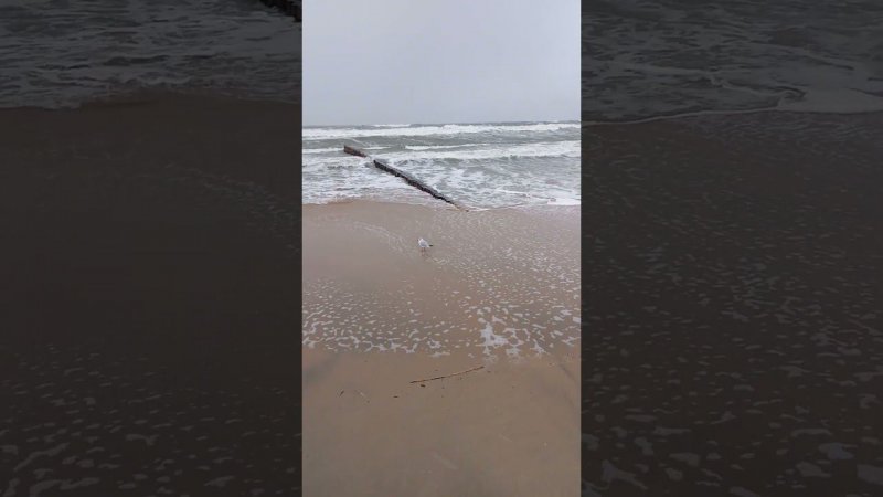 БАЛТИЙСКОЕ МОРЕ В ДЕКАБРЕ 8