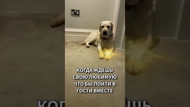 Когда ждёшь свою любимую что бы пойти в гости вместе ?