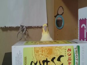На ударных в ударе