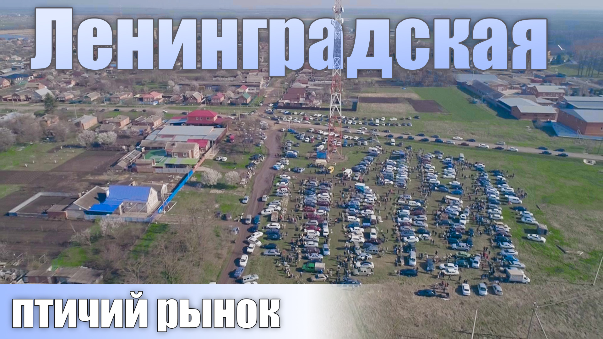 Птичий рынок. Ленинградская. Часть 1. [10.04.2022]