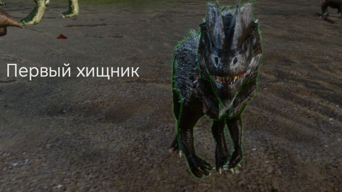 Мой первый хищник