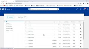 ?Instalación de Wordpress modo manual desde tu web hosting  -  ionos??.