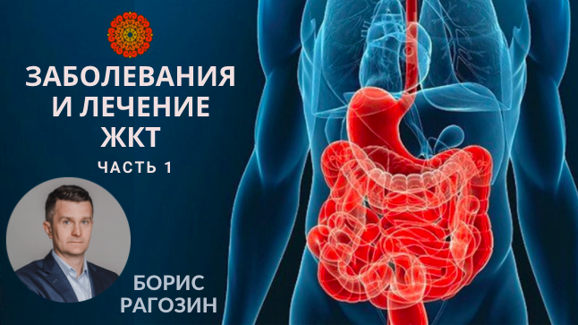 Заболевания и лечение ЖКТ. Часть 1. Рагозин Б.В.