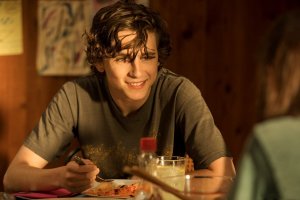 Красивый мальчик / Beautiful Boy (2018)