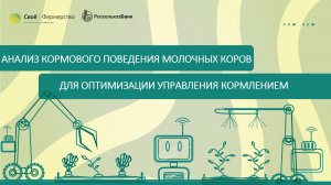 Анализ кормового поведения молочных коров для оптимизации управления кормлением