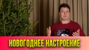 Новогодняя красавица украшение праздника и праздничное настроение