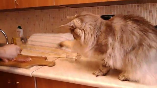 Бьем мясо