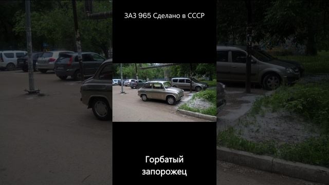 Горбатый запорожец ЗАЗ 965