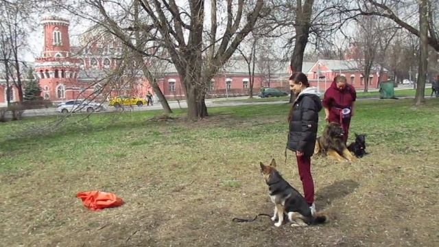 Дана Место.mp4