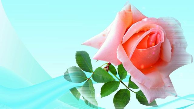 Футаж. Фон для надписи 99