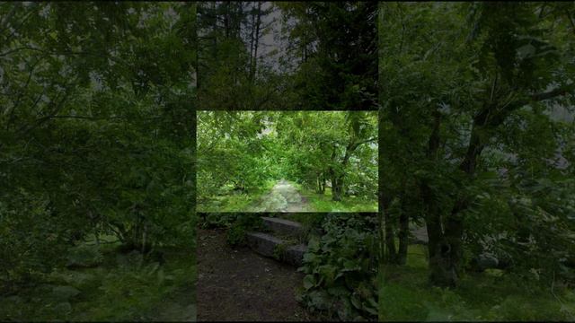 В гостях у "Лисовенко"