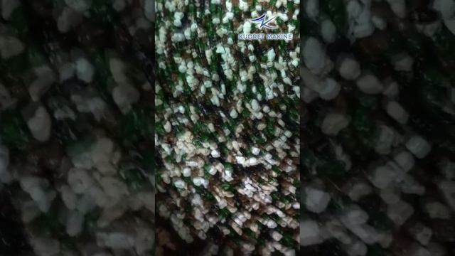Драже производство