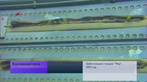 Оранжерея на орбите