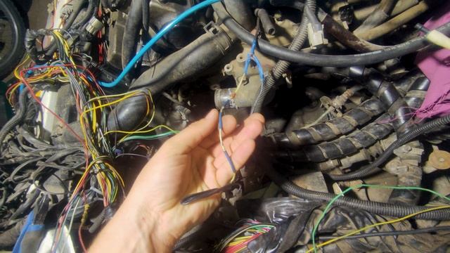 FTO проводка разбор