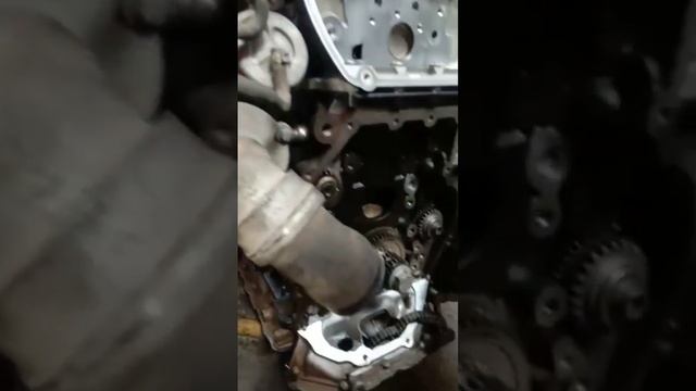 #Skoda superb timing chain##