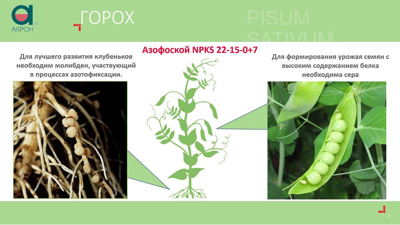 Системы питания сельскохозяйственных культур