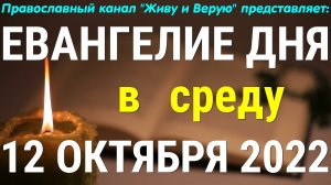 Евангелие дня.12 октября 2022. Чтение от Луки