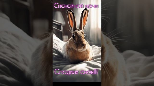 Открытка, спокойной ночи, сладких снов!!!