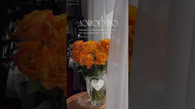 Доброе утро друзья