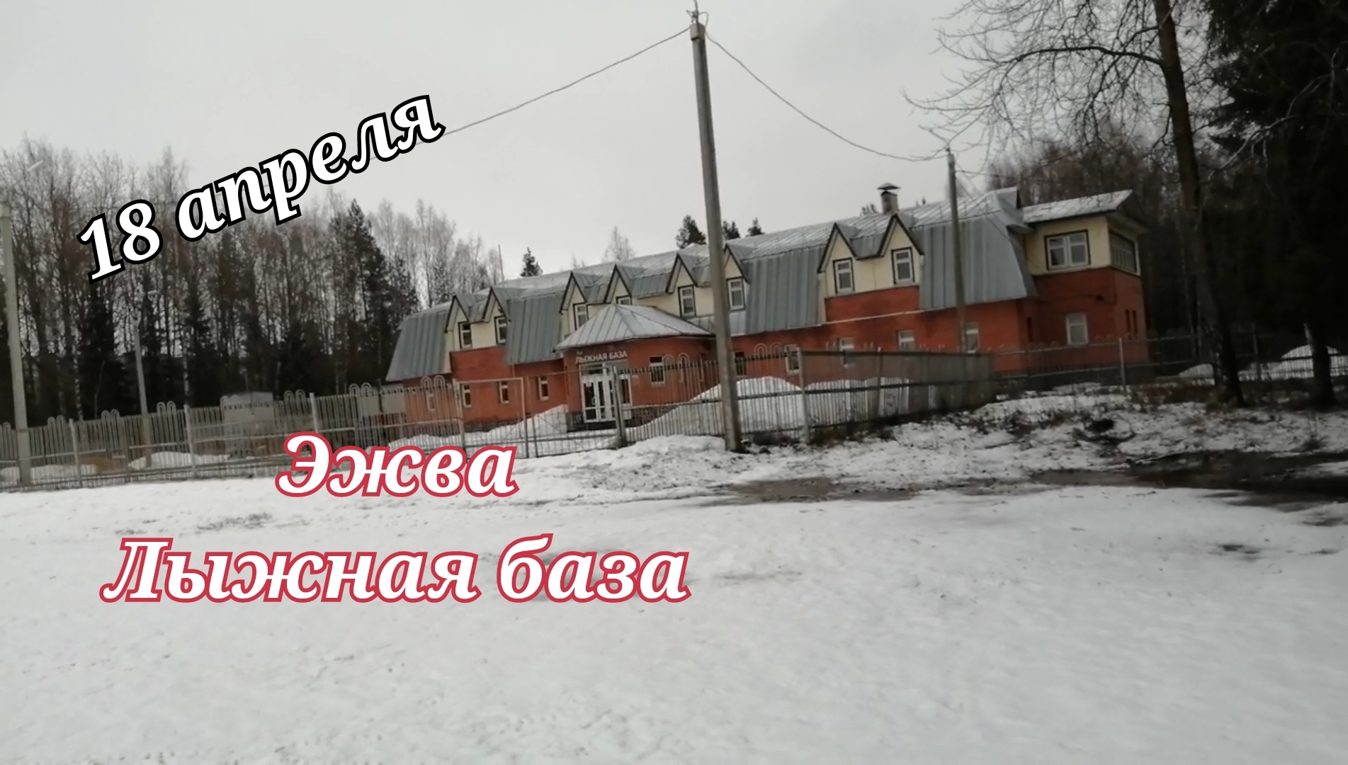 Утренняя прогулка