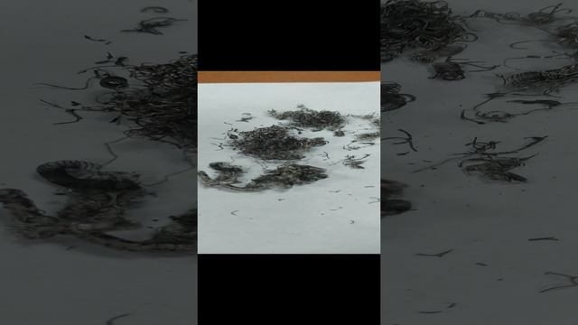 Реохорд !  Проволока с содержанием Паладия!  ОТ 2700 р за грамм! Звоните 89773318143! 89309680121!