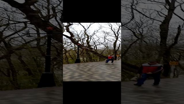 Мостик к празднику 9 мая
