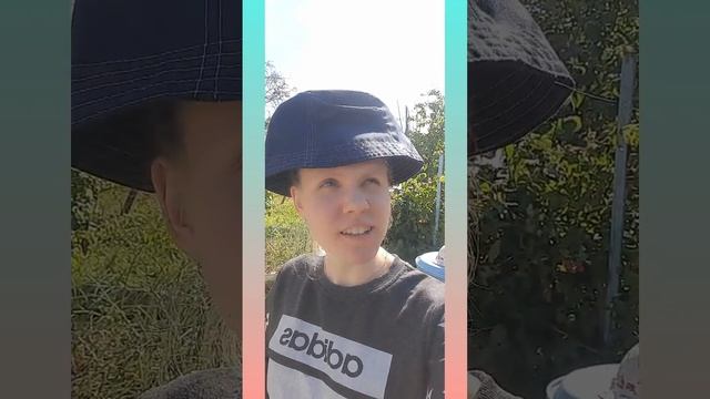 《Секреты?》
#angel_bream_team #greku_anzhela
#angel_bream_ag #сказка #ag