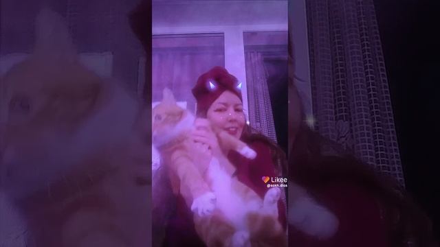 Наглый кот!