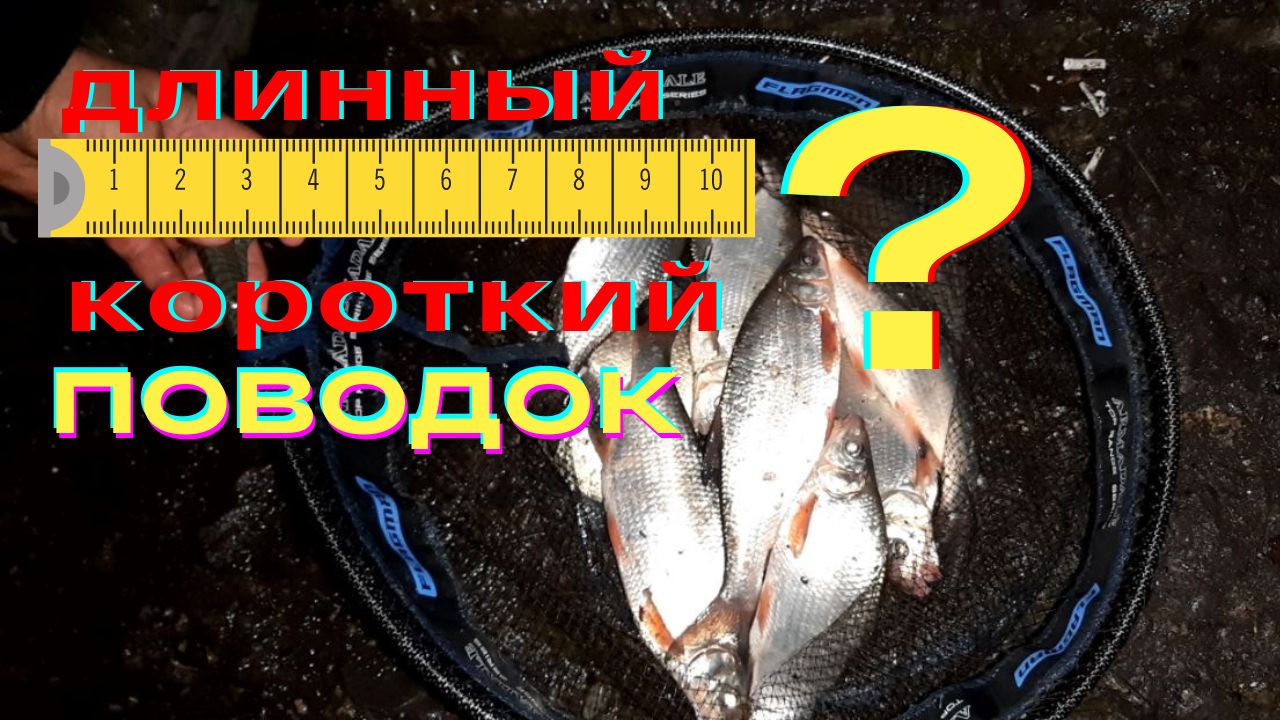 КОРОТКИЙ ПОВОДОК?или ДЛИННЫЙ? ВСЕГДА ЕСТЬ ВЫБОР,ДЛЯ ЧЕГО ЭТО НУЖНО?-СМЕАНА ПОВОДКА,ПРАКТИКА ПОКАЗАЛА
