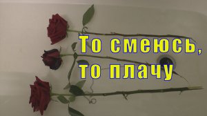 ТРИ КОШКИ /ПОПУГАЙ В ШОКЕ/ ТО СМЕЮСЬ - ТО ПЛАЧУ /29 ноября 2023