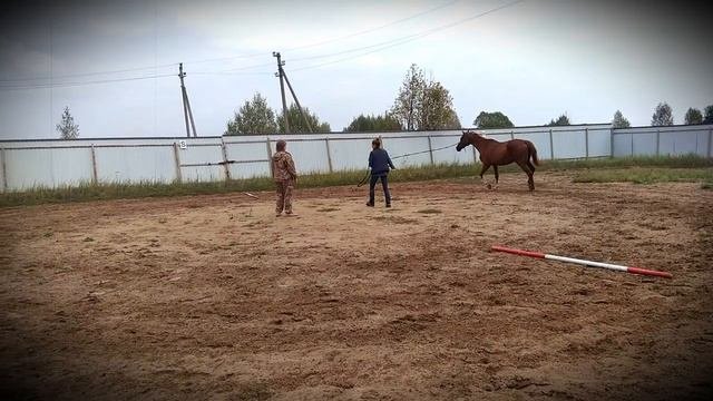 Ясная поляна. Эльбрус.