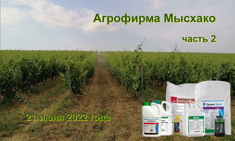Мысхако_2.mp4