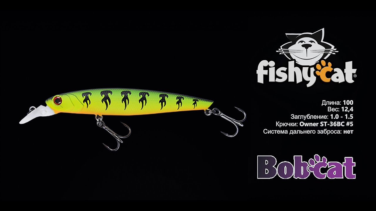 Fishycat Bobcat 100SP - Техника и способы проводки.