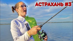 Щука до 7кг! Во, Злата даёт - Егерь в ШОКЕ! Обловила мужиков! АСТРАХАНЬ!