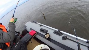 Рыбалка мечты