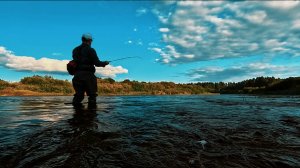 ВОДА ЦВЕТЁТ РЫБА КЛЮЁТ