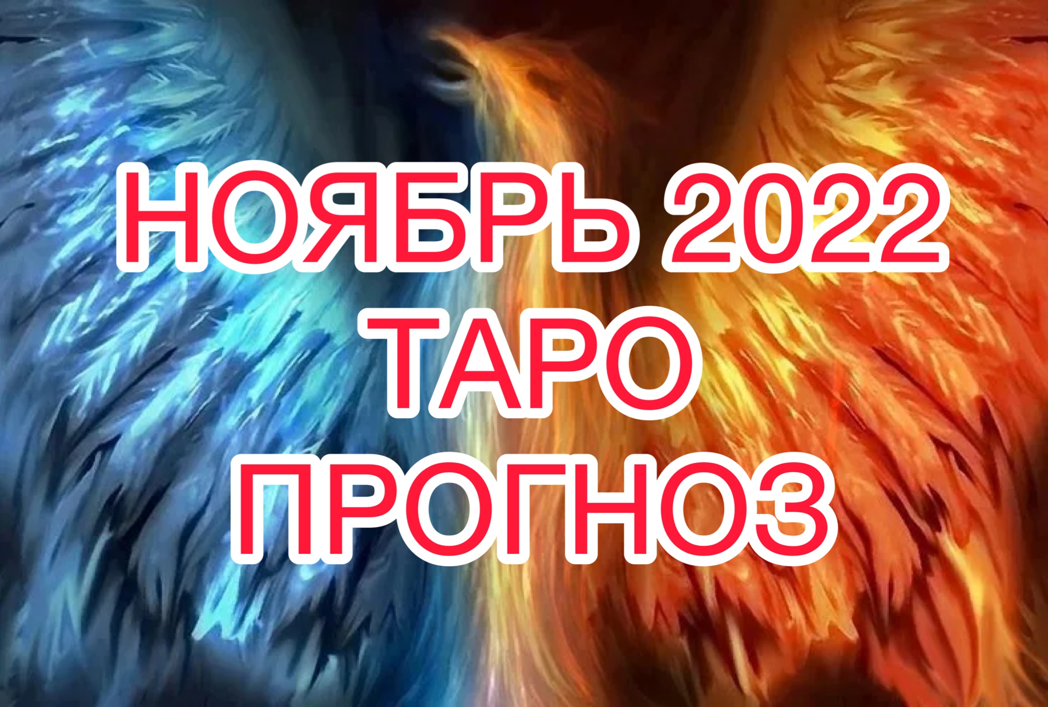 ТЕЛЕЦ ♉️ НОЯБРЬ 2022 ТАРО ПРОГНОЗ.mp4