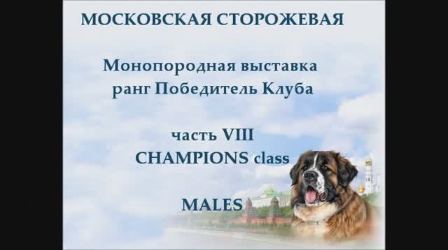 2012.05.09.8.Московская сторожевая Кобели. Класс Чемпионов