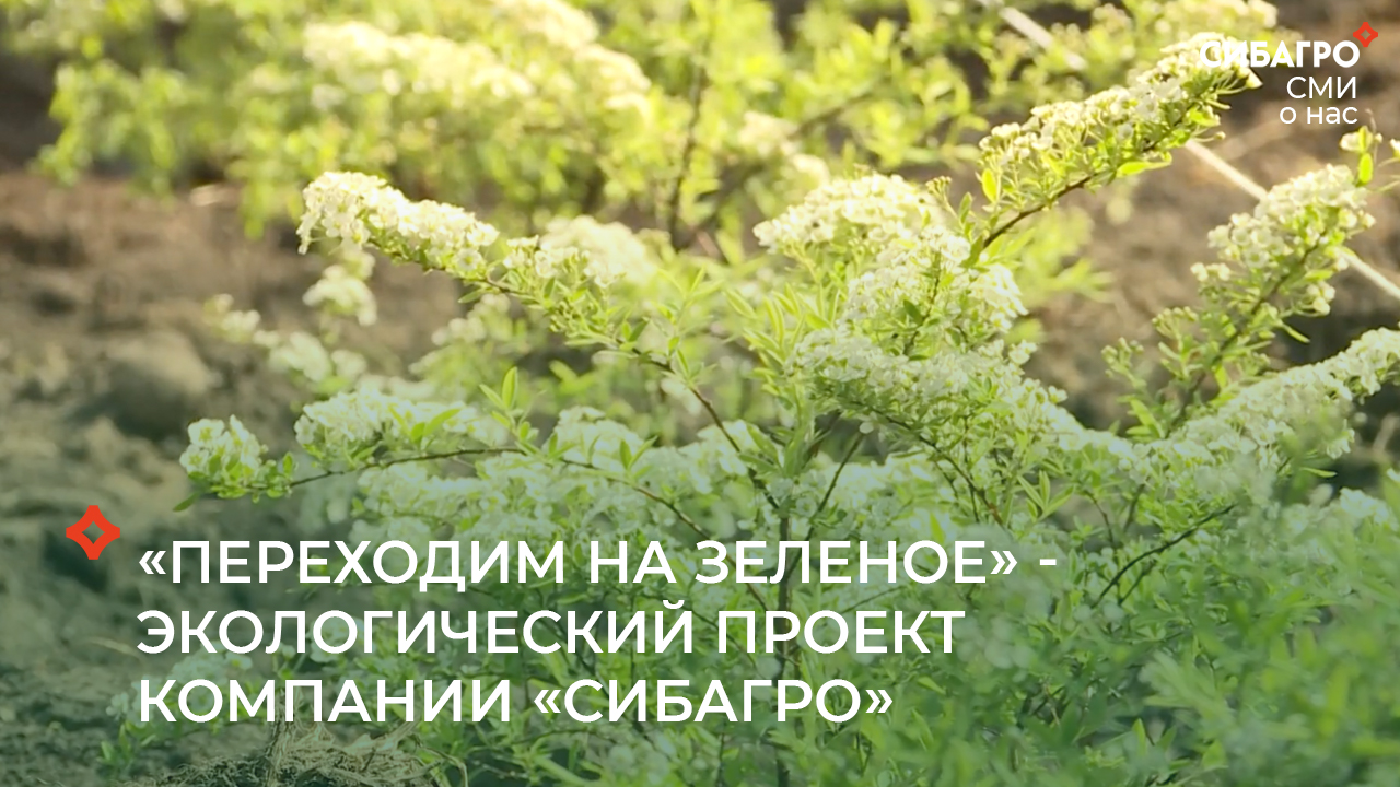 "Переходим на зеленое" - экологический проект компании "Сибагро"