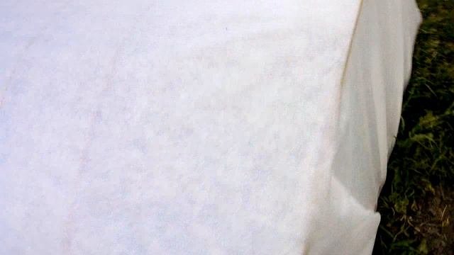 Ранний урожай. Выращивание овощей на маленьком участке. Теплица.